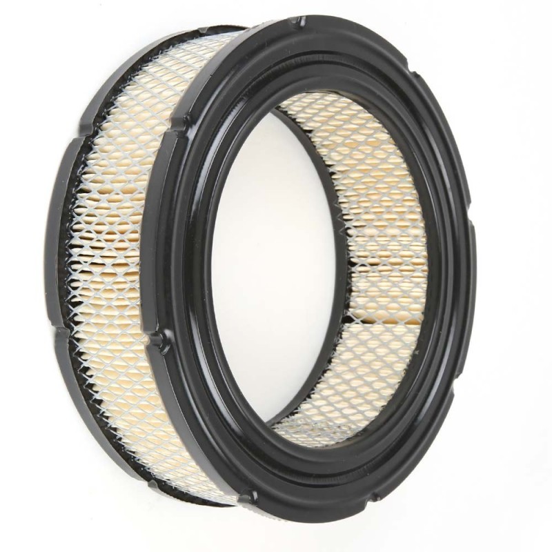 Filtre à air pour Briggs & Stratton 806232, 692519 - Matijardin